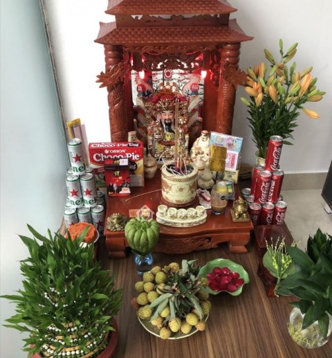 Có nên để cây phát tài,phát lộc trên bàn thờ?